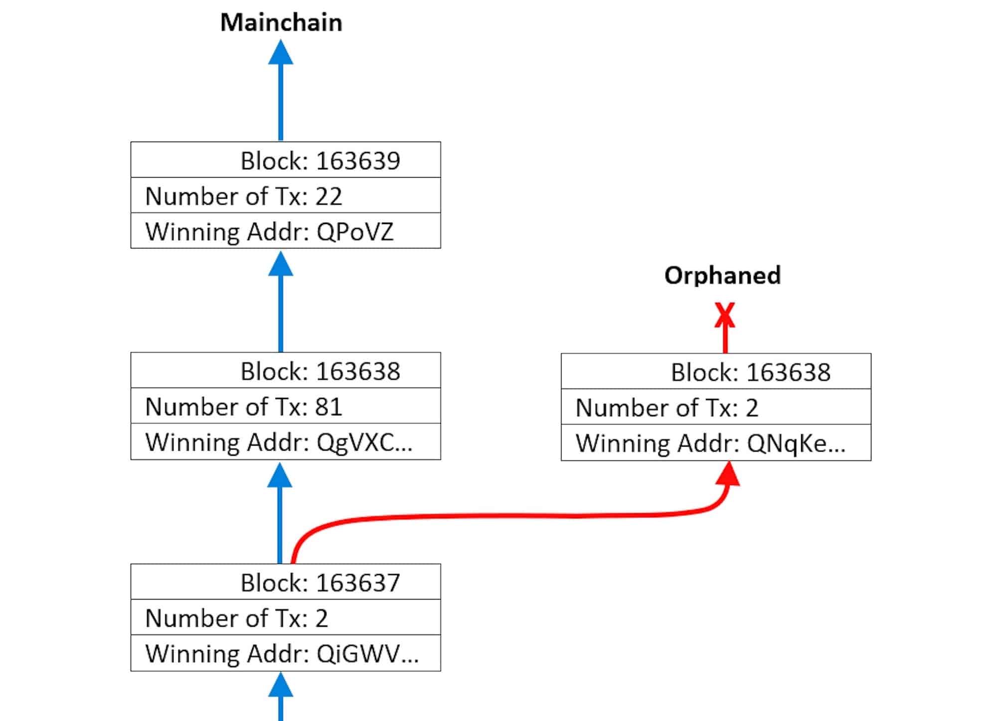 بلوک یتیم (Orphaned Block) چیست؟ - بخت